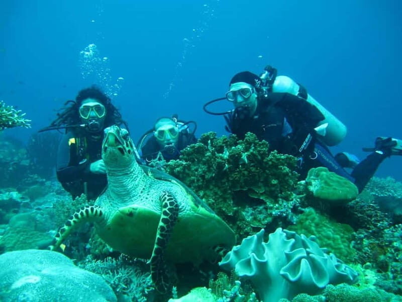 From Antalya: Scuba Diving With Lunch and Transfer - Authentic Experiences and Practicalities