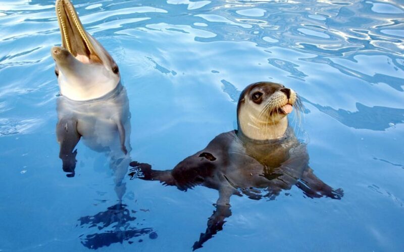 From Antalya: Scuba Diving With Lunch and Transfer - Who Should Consider This Tour?