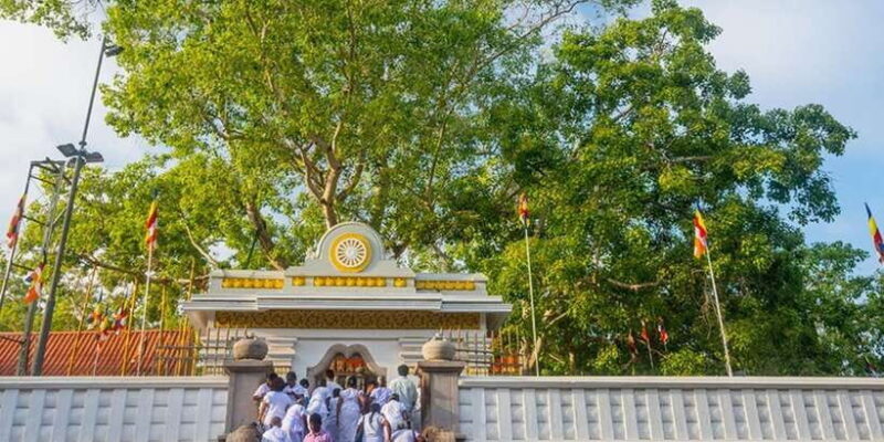 From Anuradhapura: Ancient City of Anuradhapura by Bike - Key Points