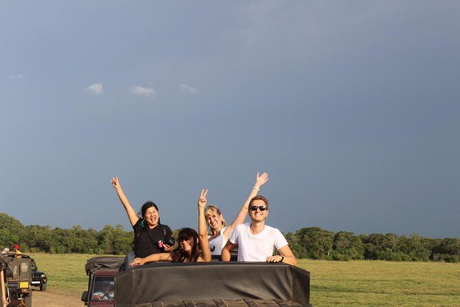From Anuradhapura: Minneriya National Park Private Jeep Safari - The Sum Up
