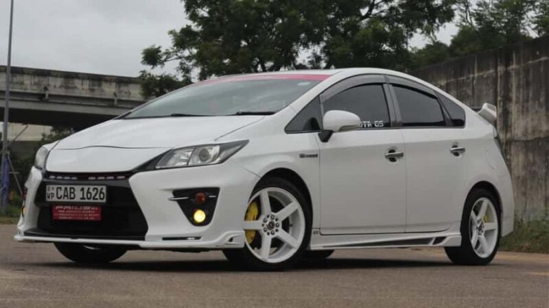 From Anuradhapura: Wilpattu National Park Private Safari - Comparing Similar Experiences