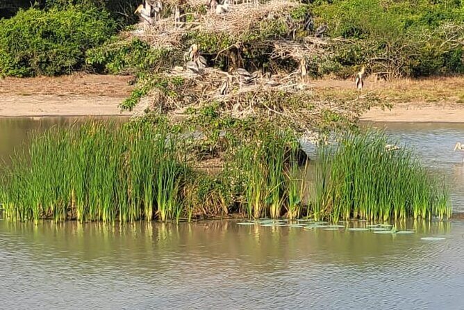 From Anuradhapura : Wilpattu Wild Haven Full-Day Safari - Final Thoughts