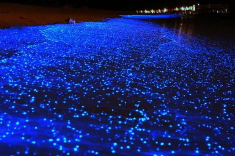 From Ao Nang Hong Island Longtail Cruise with Sunset Dinner - Who Will Love This Tour?