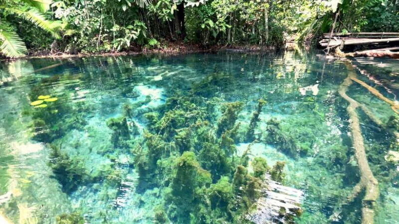 From Ao Nang: Kayaking at Klong Rud with Hotel Transfers - Practical Considerations