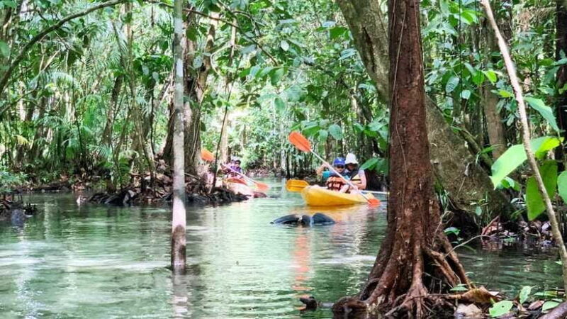 From Ao Nang: Kayaking at Klong Rud with Hotel Transfers - FAQ