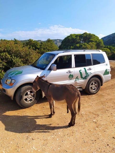 From Arbatax: 4hour jeep tour of the Golgo Plateau in Baunei - The Guide and Group Size