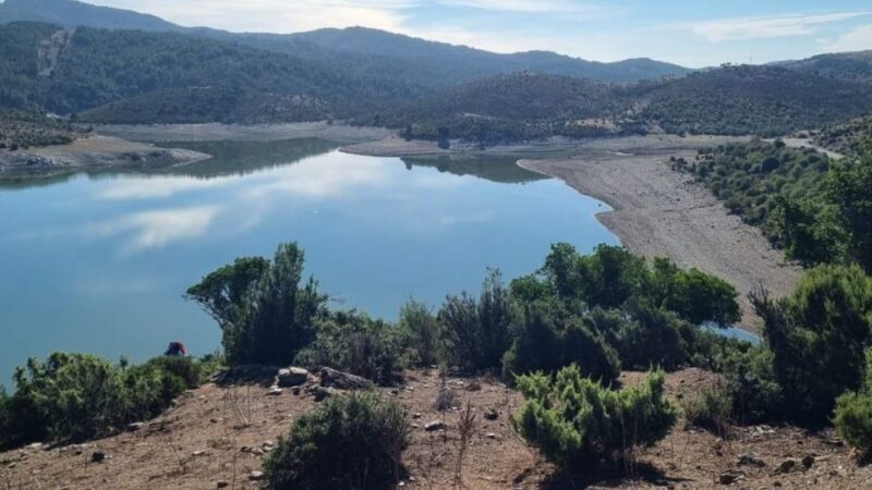 From Arbatax: Barbagia jeep tour and lunch at the shepherd's - Who Will Love This Experience?
