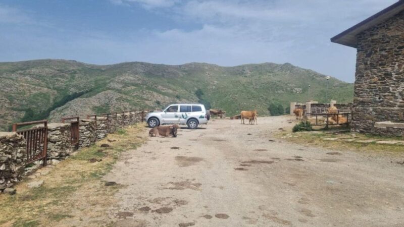 From Arbatax: Barbagia jeep tour and lunch at the shepherd's - Final Thoughts: Is This Tour Worth It?