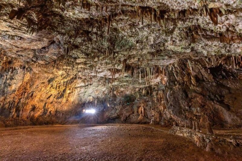 From Argostoli: Melissani & Drogarati Cave Shore Excursion - What the Tour Includes and What to Budget For