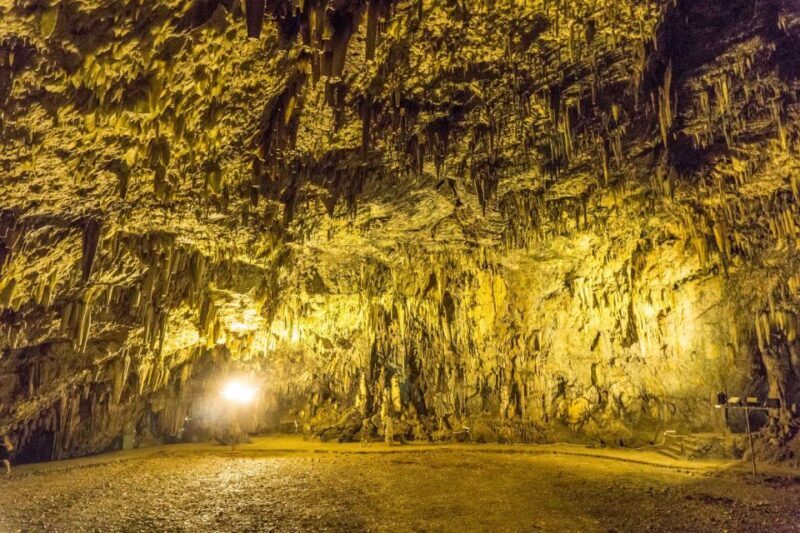 From Argostolion: Caves and Antisamos Beach Private Tour - Key Points