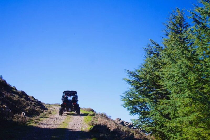 From Aritzo: buggy tour on Gennargentu - Scenic Adventure in Sardinia’s Heartland