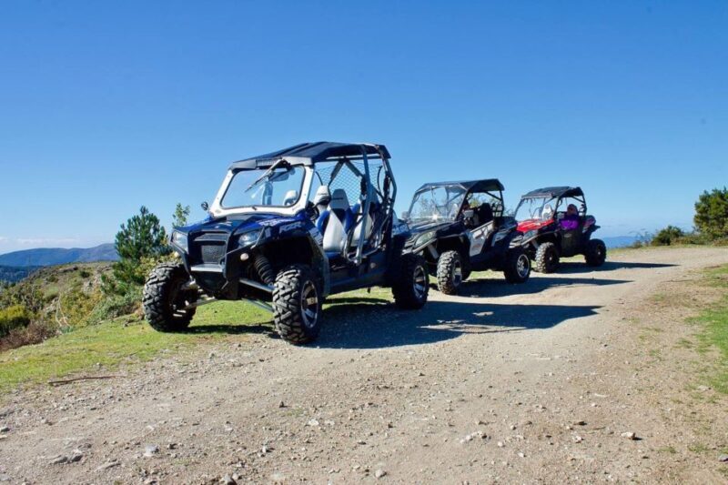 From Aritzo: buggy tour on Gennargentu - Who Will Enjoy This Tour?