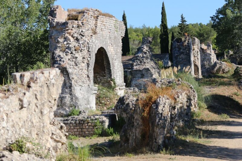 From Arles: Alpilles Regional Park Provence 4x4 Safari - Who Should Book This Experience?
