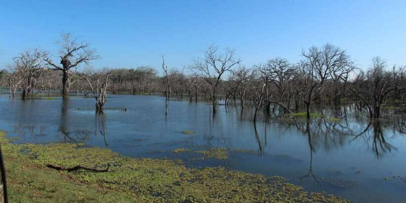 From Arugambay : Yala National Park Safari & Dropoff in Ella - Final Thoughts