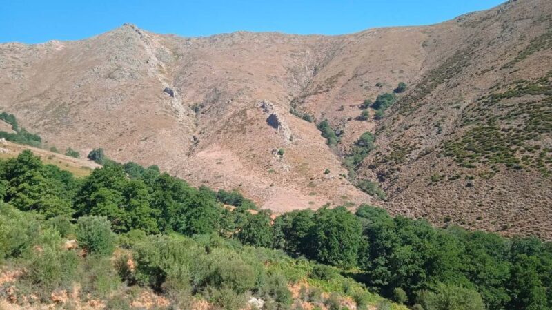 From Arzana: trekking to Punta La Marmora with aperitif - From Arzana: Trekking to Punta La Marmora with Aperitif — An Authentic Sardinian Adventure