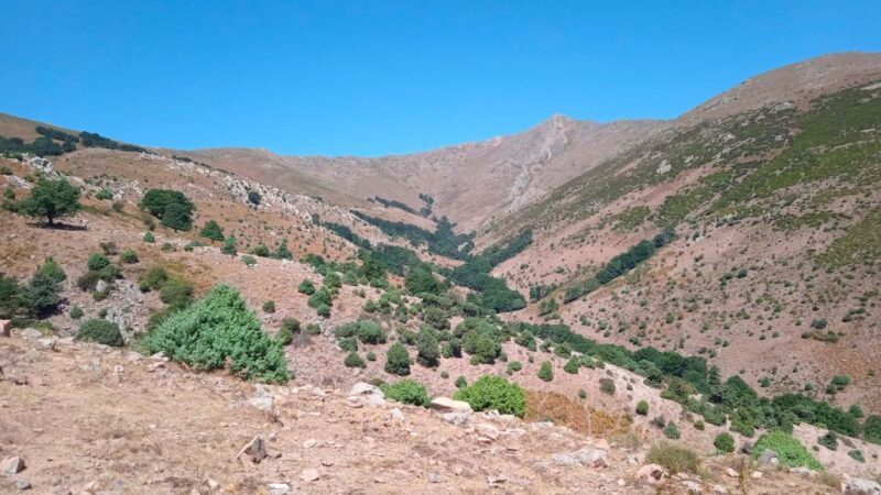 From Arzana: trekking to Punta La Marmora with aperitif - Practical Details and Considerations