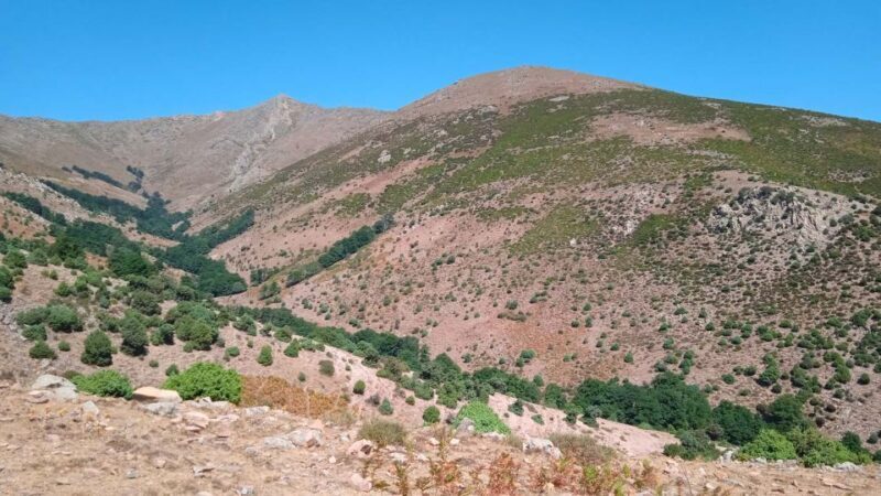 From Arzana: trekking to Punta La Marmora with aperitif - Final Words