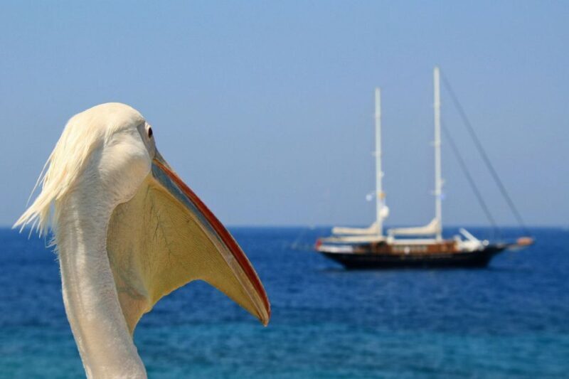 From Athens: 2-Day Santorini and Mykonos Trip - An In-Depth Look at the 2-Day Greek Island Adventure