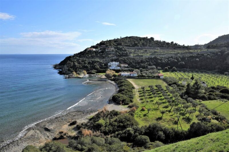 From Athens: Aegina Island E-Bike Tour with Ferry Tickets - Value & Practicality