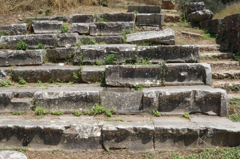 From Athens: Ancient Sparta and Mystras Private Day Trip - The Practicalities and Pricing
