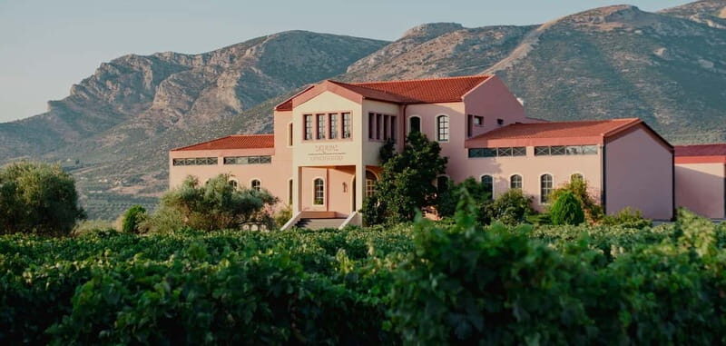 From Athens: Ancient Sparta and Nemea Wine Country Day Trip - The Sum Up