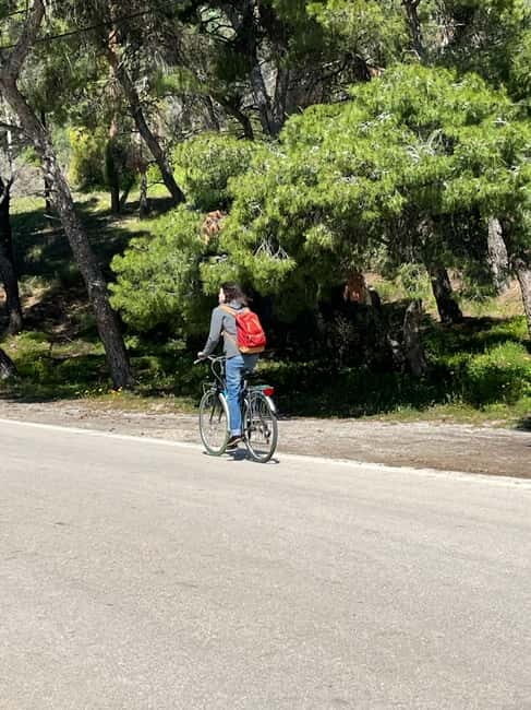 From Athens: Bike & Island Full-Day Tour to Poros - An Honest Look at the Tour