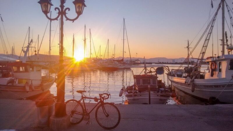 From Athens: Explore Aegina Island by Bike - Who Will Love This Tour?