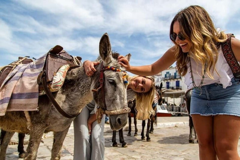 From Athens: Hydra, Poros & Aegina Island Cruise with Lunch - Key Points