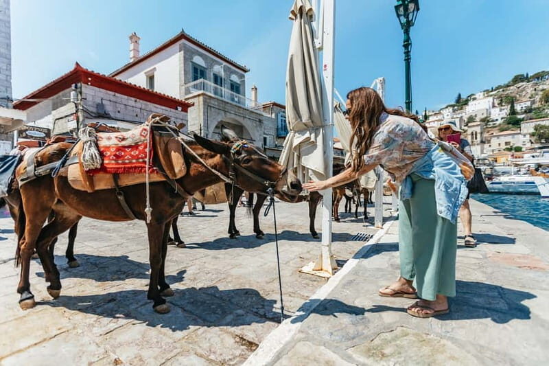 From Athens: Hydra, Poros & Aegina Island Cruise with Lunch - An In-Depth Look at the Experience