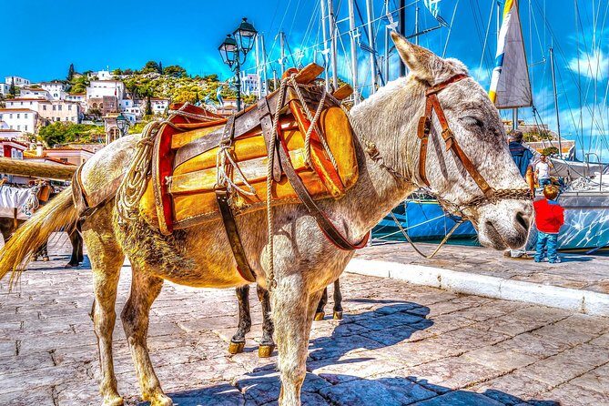 From Athens: Hydra, Poros, and Aegina Day Cruise with Lunch - Overview of the Cruise Experience