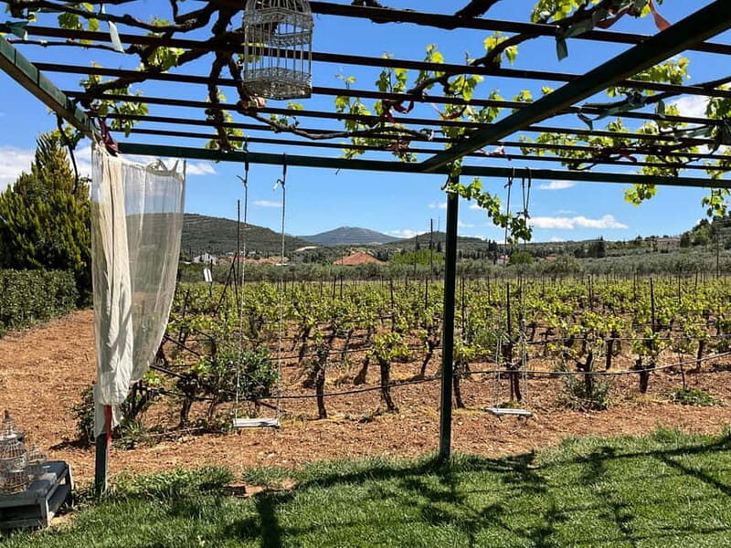 From Athens: Nemea Wine Tour with Corinth Canal Stop - Who Should Consider This Tour?