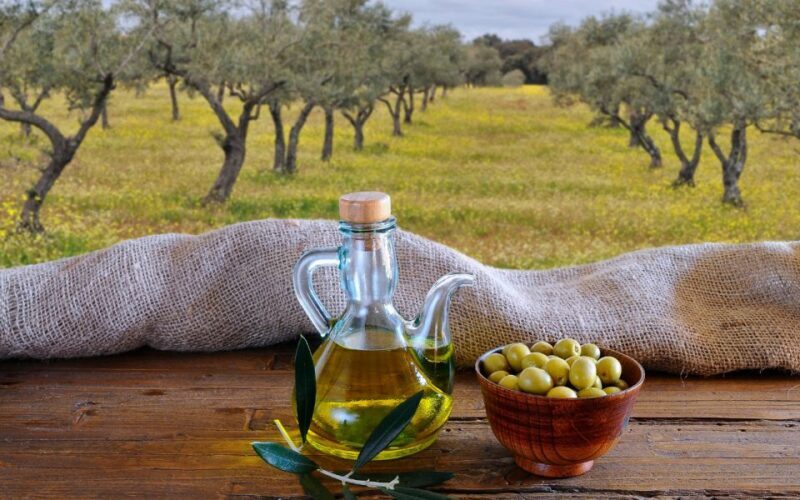 From Athens: Olive Oil Production & Wine Private Day Trip - An In-Depth Look at the Experience