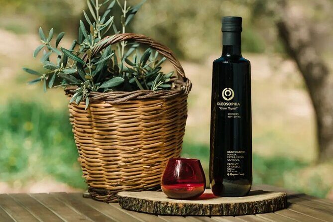 From Athens: Olive Oil Tasting, Olive Grove & Wine Experience - A Detailed Look at the Experience