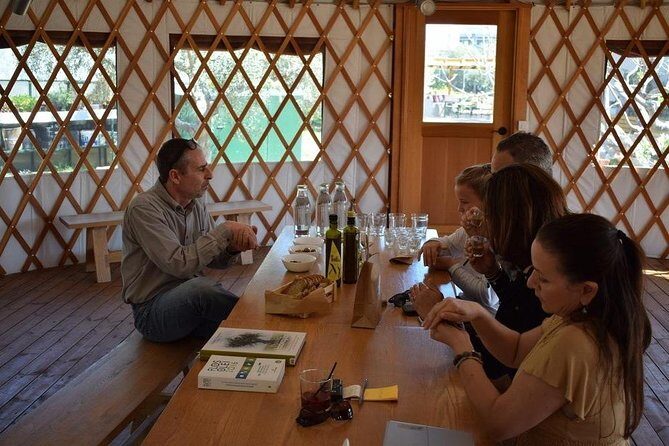 From Athens: Olive Oil Tasting, Olive Grove & Wine Experience - Practical Details & Tips for Travelers