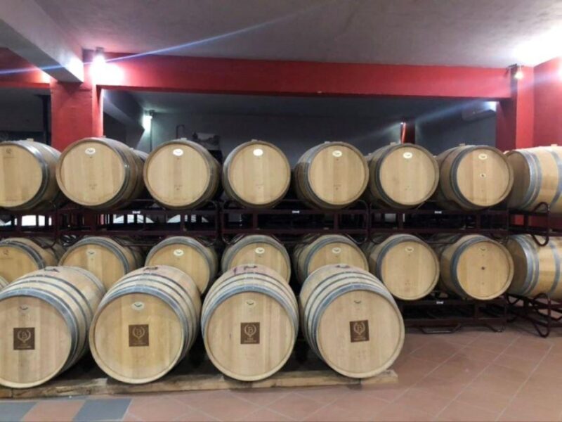 From Athens: Wine Roads Private Tour with Wine Tasting - Key Points