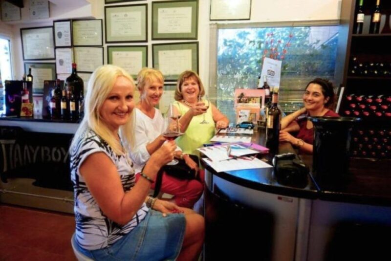 From Athens: Wine Roads Private Tour with Wine Tasting - Introduction