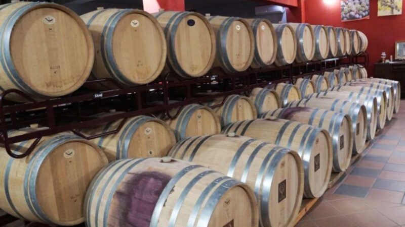 From Athens: Wine Roads Private Tour with Wine Tasting - Authentic Experiences and Traveler Insights