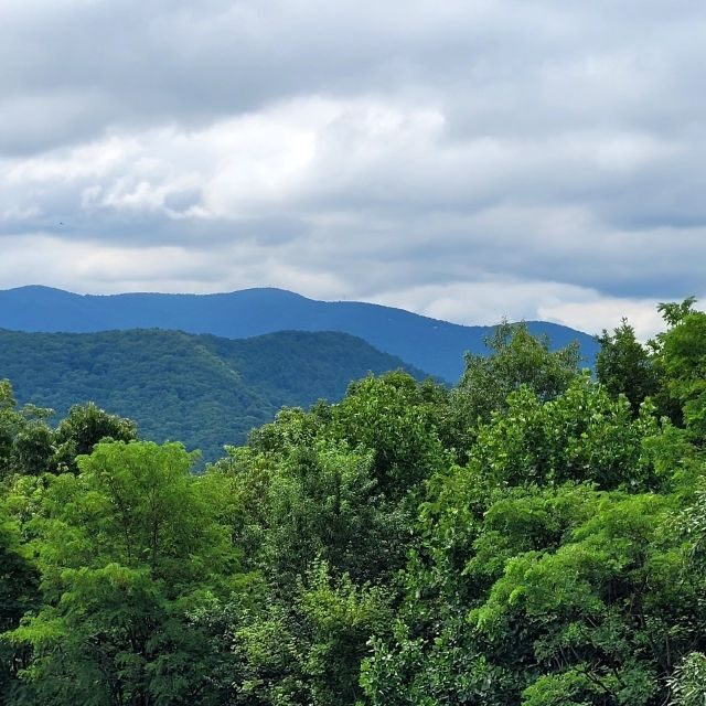From Atlanta: Half-Day or Full-Day Wine Country Tasting Trip - From Atlanta: Half-Day or Full-Day Wine Country Tasting Trip — A Practical Guide