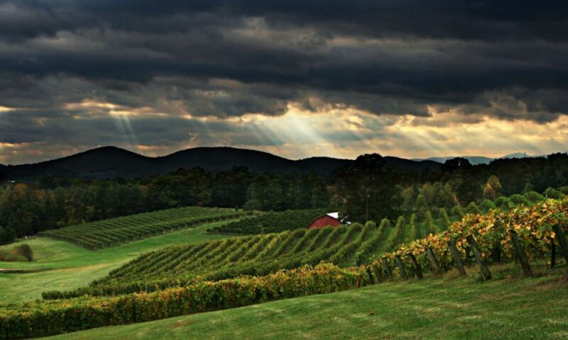 From Atlanta: North Georgia Wine Country Tour - An Inside Look at the Itinerary and Experience