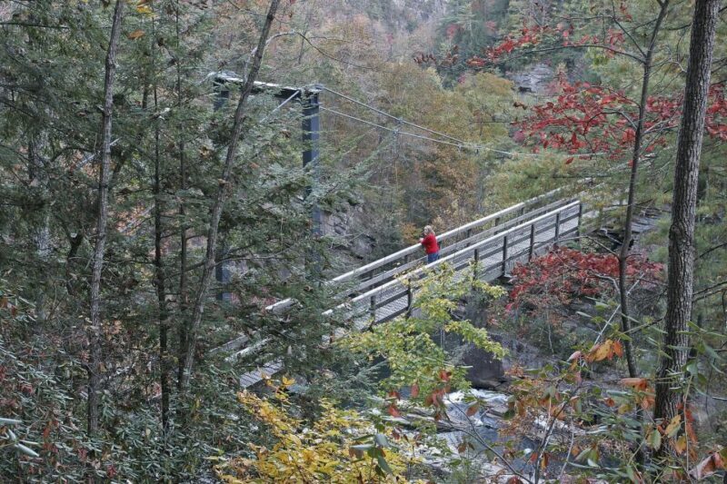From Atlanta: Tullulah Falls Slingshot Self Guided Tour - Practical Considerations for Travelers