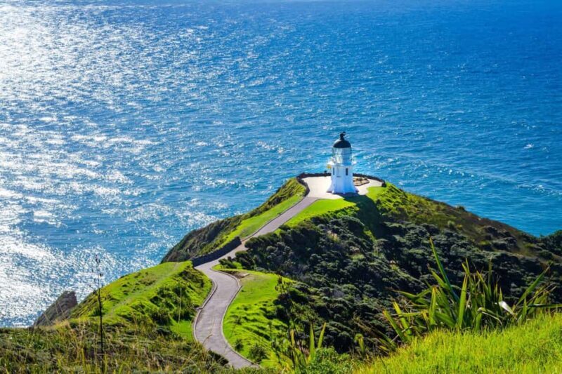 From Auckland: 6-Day Northland Tour with German Guide - A Detailed Look at the 6-Day Northland Adventure