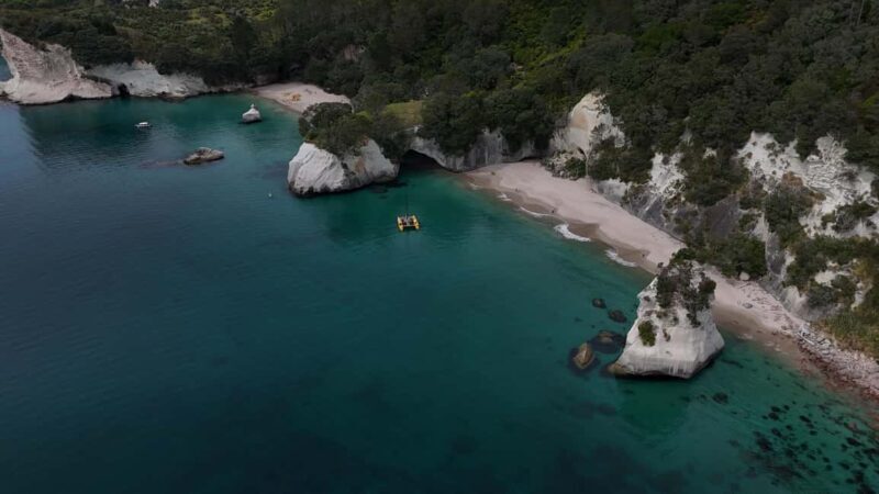 From Auckland: ALDERMAN ISLANDS (Ruamaahu) Day Trip - An All-Day Adventure to the Alderman Islands