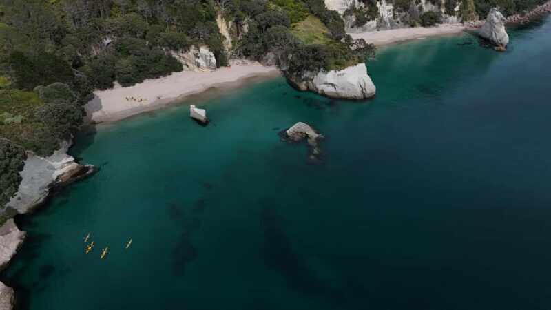 From Auckland: ALDERMAN ISLANDS (Ruamaahu) Day Trip - Final Thoughts