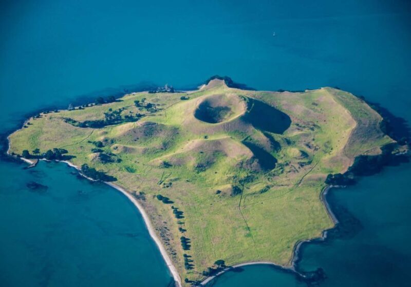 From Auckland: Browns Island Motukorea Sea Kayak Tour - The Value of the Experience