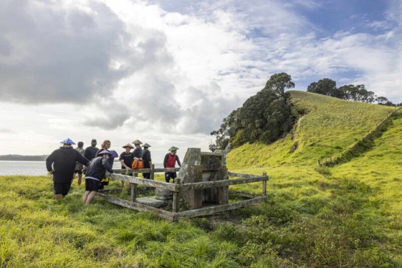 From Auckland: Browns Island Motukorea Sea Kayak Tour - Handling Expectations and Practical Tips