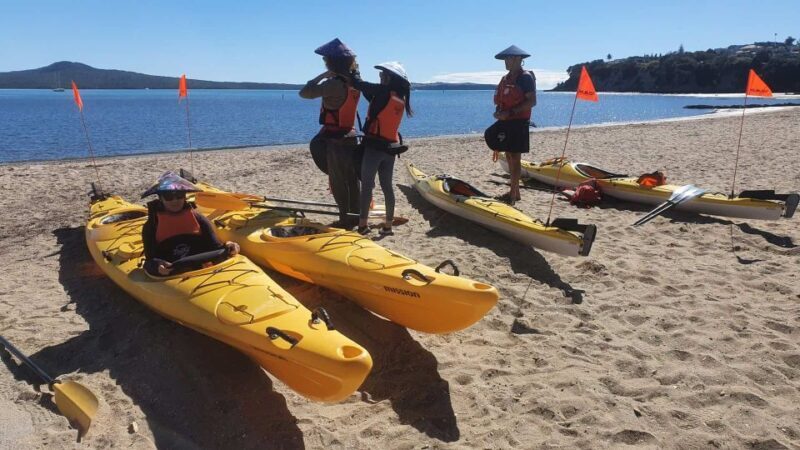 From Auckland: Browns Island Motukorea Sea Kayak Tour - Final Thoughts