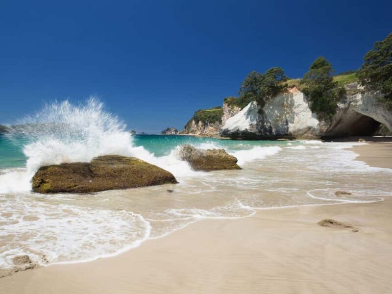 From Auckland: Cathedral Cove & Hot Water Beach Tour - Hot Water Beach: Digging Your Own Spa Pool