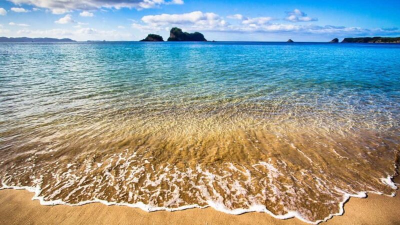 From Auckland: Cathedral Cove & Hot Water Beach Tour - Final Thoughts