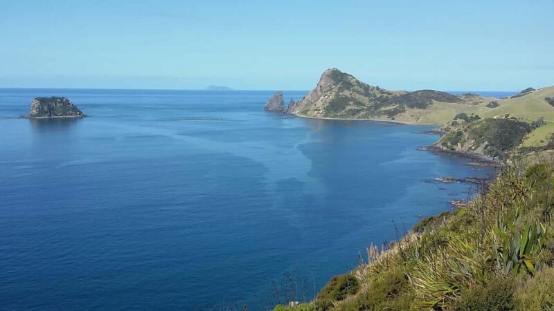 From Auckland: Cathedral Cove & Hot Water Beach Tour - FAQ