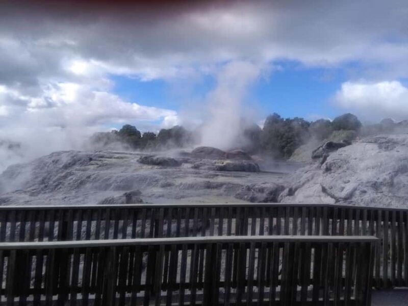 From Auckland: Day Trip to Rotorua with Optional extras - A Well-Balanced Introduction to Rotorua